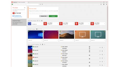 AnyDesk Interface