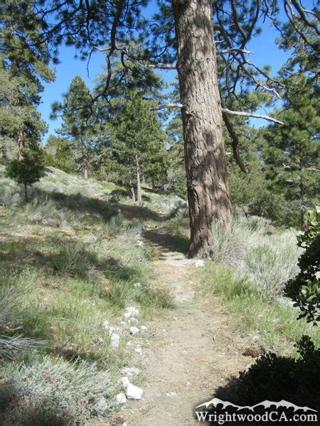 Big Pines Nature Trail