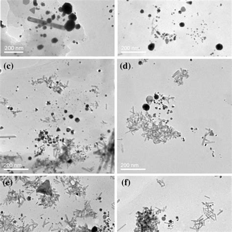 Sem Image And Eds Spectrum Of A Aunps Synthesized By Pb²⁺ Induced Cells