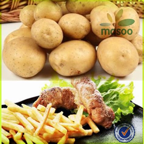 Chinese Fresh Sweet Potato Factory And Exporterchina Masoo Price