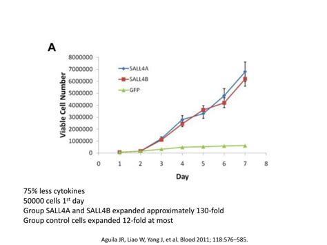 Ppt Hematopoietic Stem Cell Expansion “sall4” Powerpoint Presentation