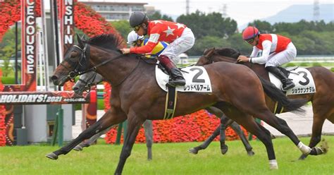 初心者はこれだけ覚えとけば勝てる！【競馬 勝つためのコツ5選】｜んだじゃ