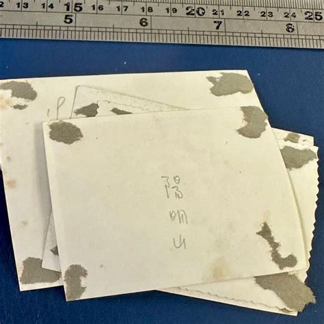 ㊣台灣意象＊旗艦店㊣台灣醫學前輩日治台北醫專（現台大醫學院）旅遊合影（8）4張陽明山240801 Yahoo拍賣