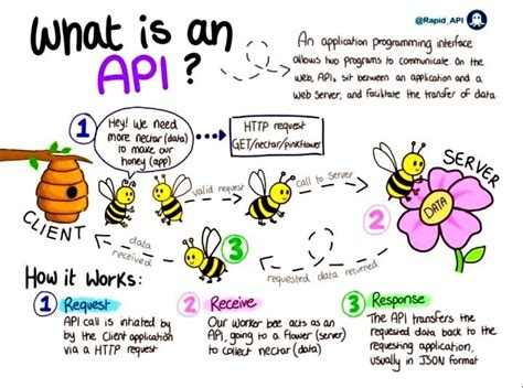 Muhammad Qasim On Linkedin What Is An Api