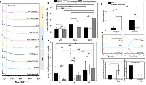 Neurogenic Differentiation Of Wj Mscs Cultured On Tcps Collagen Film
