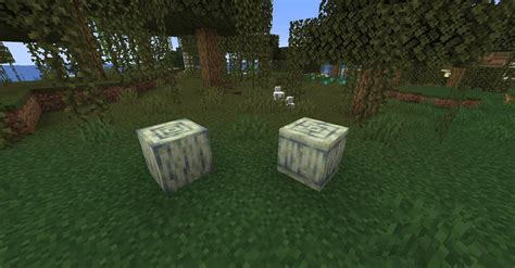 Polished Sculk Bones Minecraft