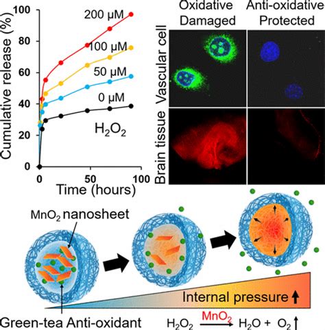 Ros Responsive Drug Carrier Han Research Group