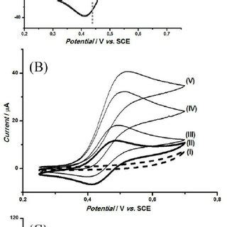 A Cyclic Voltammograms Scan Rate Vs Recorded At A Mm Download Scientific Diagram
