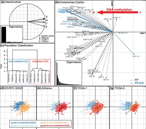 similarity of functional dna methylation patterns of idhmt lgg among