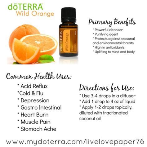 Aceite Esencial De Doterra De Naranja Salvaje Etsy España