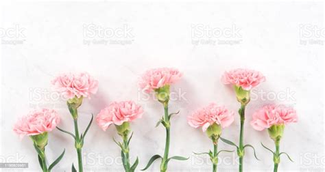 밝은 흰색 대리석 테이블 배경 어머니의 날 꽃 선물의 개념을 통해 아름답고 우아한 핑크 카네이션 꽃 카네이션에 대한 스톡 사진