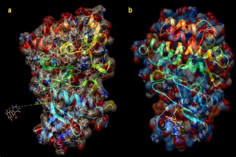 A Journey Towards Molecular Dynamics Introduction By Araz