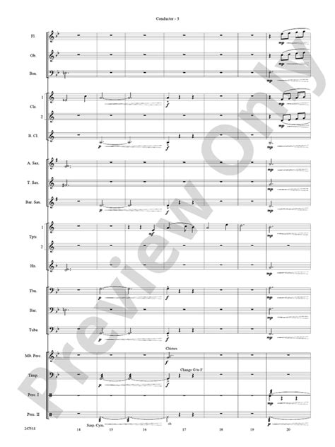 Harry Potter And The Goblet Of Fire Selections From Score Concert Band Score Digital Sheet