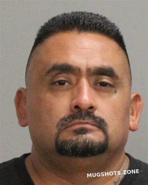 Hernandez Tracy 09162022 Brazos County Mugshots Zone