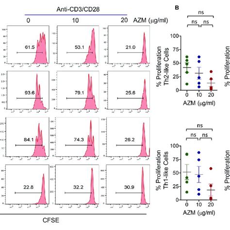 Azm Suppresses Helper T Cell Subset Proliferation Cfse Labeled Cd4