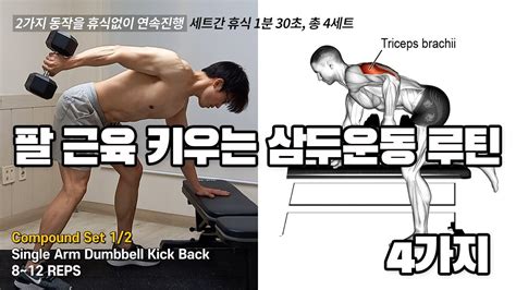 팔 근육 빠르게 키우는 삼두운동 루틴 4가지 팔운동 덤벨운동 Best 4 Triceps Workout Routines At Home Dumbbell Workout
