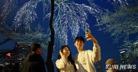 송파구 아름다운 봄 벚꽃이야기 호수벚꽃축제 개막