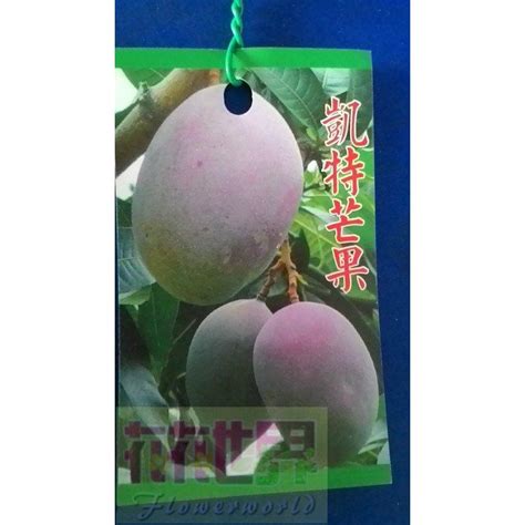 花花世界 水果苗凱特芒果 45吋盆高50 60cm甜中帶酸無法超取 蝦皮購物