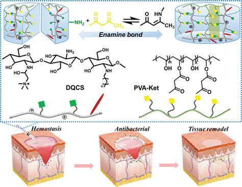 Schematic Illustration Of The Self‐healing Hydrogel Components And The