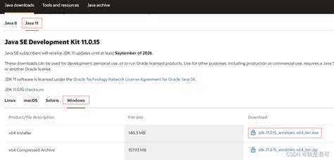 Java Jdk11的下载与安装java11 Csdn博客