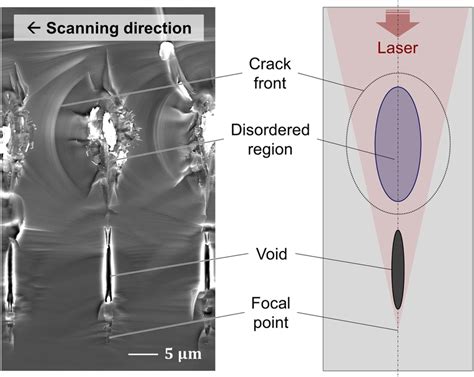 A Cross Sectional Scanning Electron Micrograph Of Subsurface Download Scientific Diagram