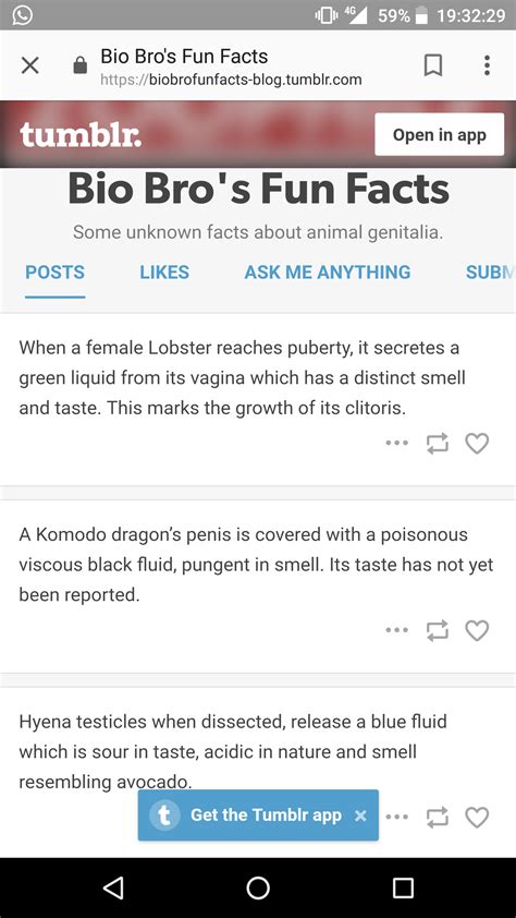 Bio Bros Fun Facts About Animal Genitalia Rtumblr