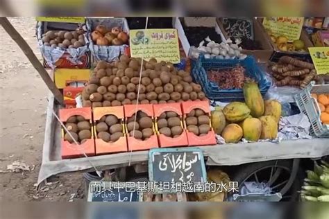 越南着急了：中国帮助巴铁解决水果滞销，我们水果该怎么办？巴铁水果中国