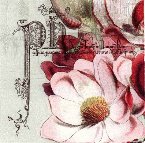Decoupage Paper Napkins Of Magnificent Red And Pink Roses