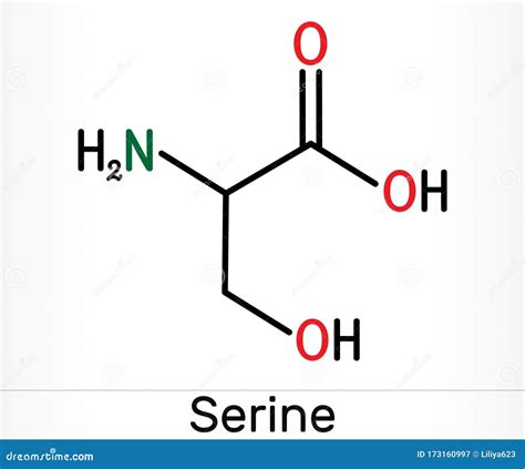 Serine Chemical Structure Vector Illustration Hand Drawn