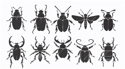 Black Insects Silhouettes Set Bug Stencils Shapes Premium Ai