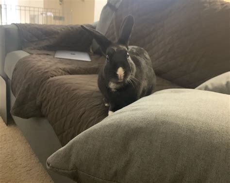 Has Anyone Else Had Kristopher Volkov Show Up At Their Door Offering His Handyman Services I