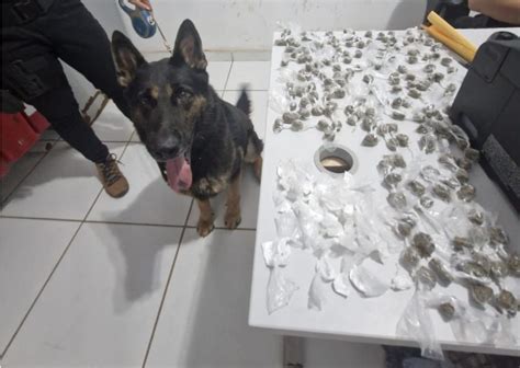 Onze Suspeitos São Presos Em Megaoperação De Combate A Organizações