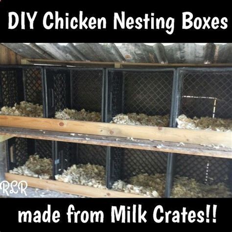 Diy Chicken Nesting Boxes Made From Milk Crates Super Easy And Very