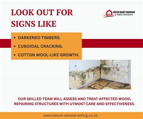 🔎 Trust Beech Beech Damp Proofing And Timber Treatments