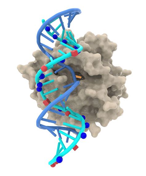 RNA Editing Is Having A Moment