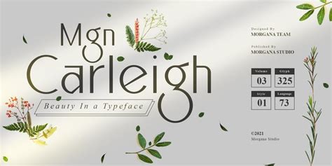 Mgn Carleigh Font Webfont And Desktop Myfonts