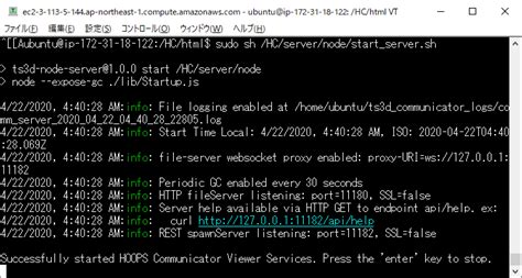 How To Set Up A HOOPS Communicator Server In AWS With Reverse Proxy