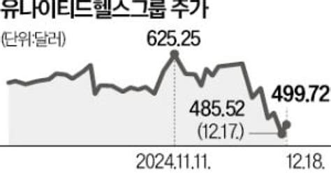 美 급락장에도 살아남은 유나이티드헬스