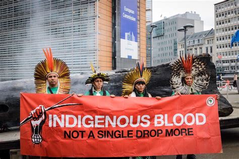 【國際森林日】這些年，我們一起守護的5個森林 Greenpeace 綠色和平 香港