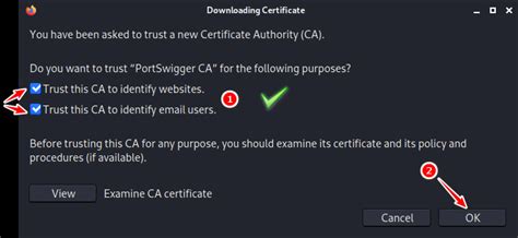 Lab 7 How To Use Burp Suite To Intercept Client Side Requests
