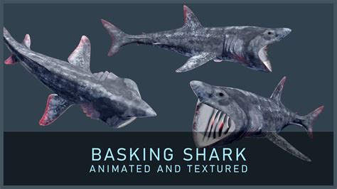 Animated Basking Shark Blender Market