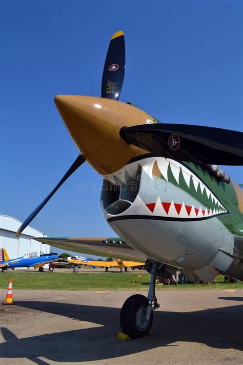 Curtiss P 40 Flying Tiger Stock Image Image Of Grey 33328727