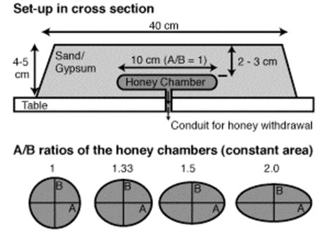 Sketch Cross Section Of Experimental Set Up Download Scientific Diagram
