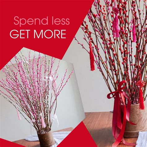 [cny 2024] Pussy Willow Festive Box Set 2pcs Tr Singapores