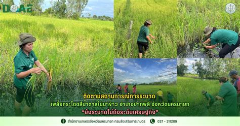 🌾เกษตรนคร สำนักงานเกษตรจังหวัดนครนายก กรมส่งเสริมการเกษตร