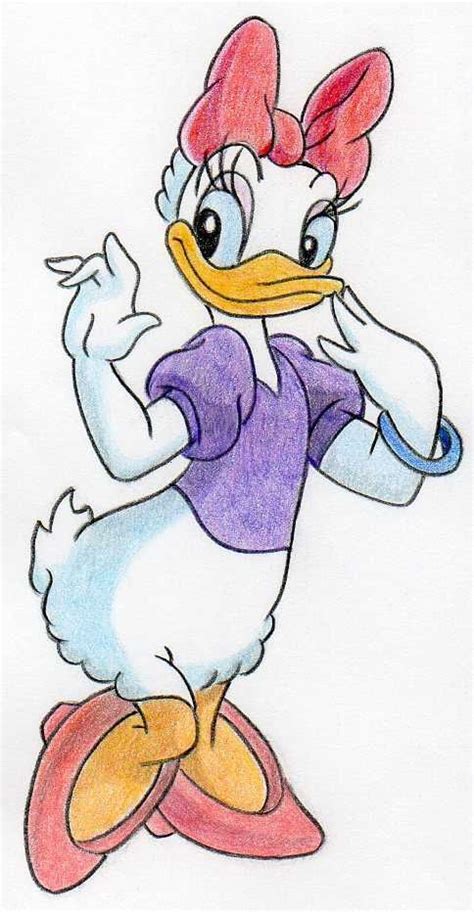 How To Draw Daisy Duck Step By Step Easy More Images For How To Draw
