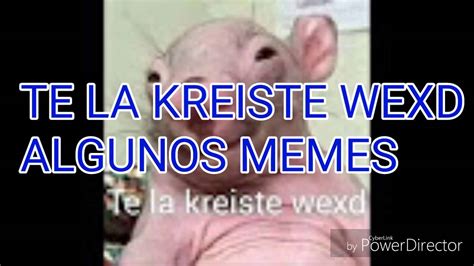 Te La Kreiste Wexd Meme Nueva Serie Youtube