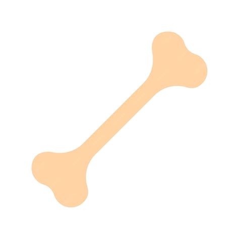 Premium Vector Bone Set Icon Fractured Bone Broken Joint Anatomy