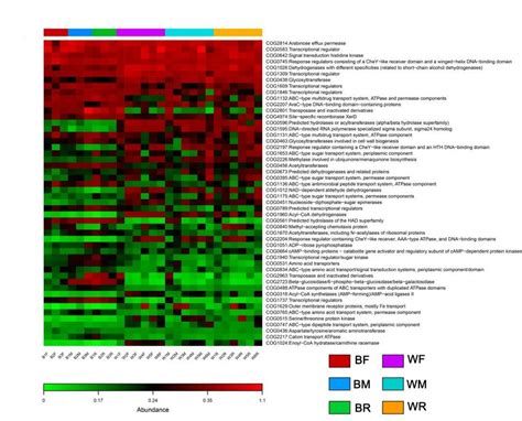 Differences In The Functional Profiles In Pathways Of The Gut
