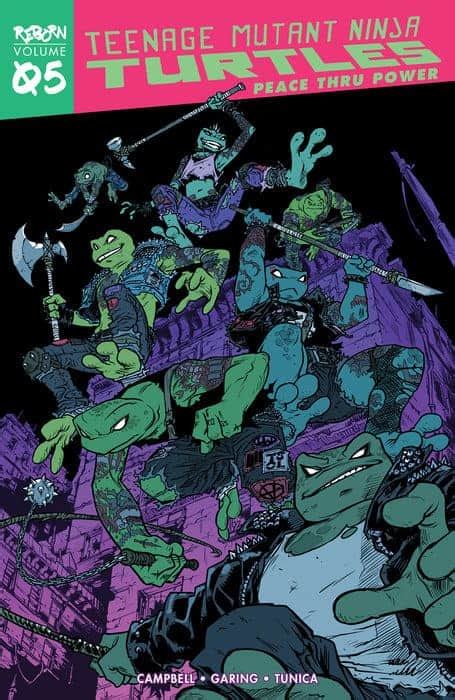 Tmnt Vol V Vol 28 Reborn Vol 05 Mystic Sister Tpb Idw Tmnt